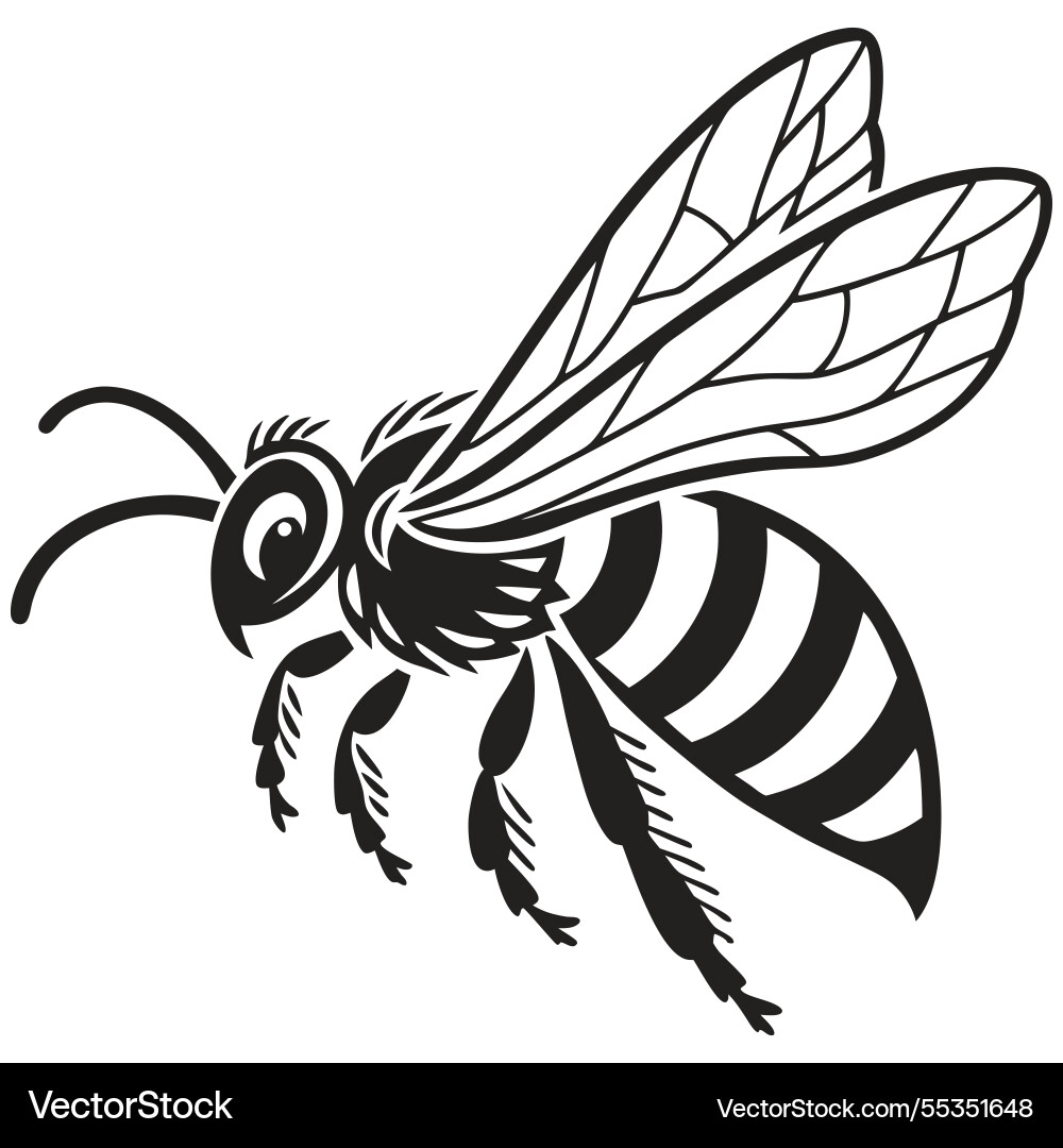 Sharp bee Royalty Free Vector Image - VectorStock
