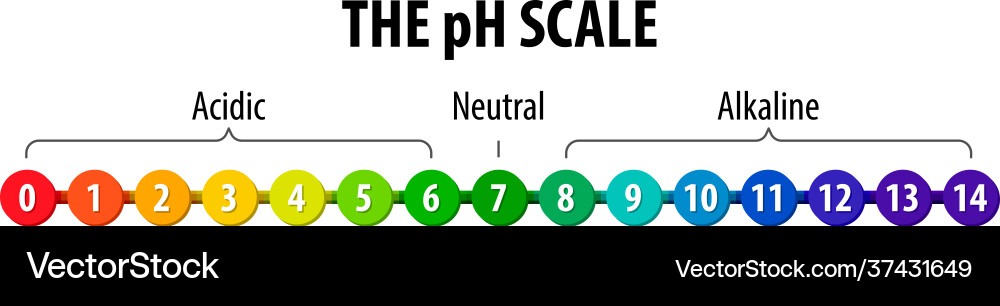 Ph scale diagram on white background Royalty Free Vector