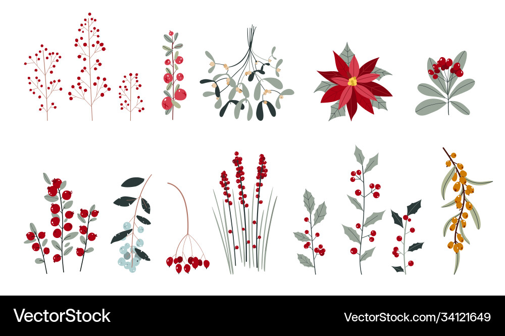 Set various winter plants and berries Royalty Free Vector