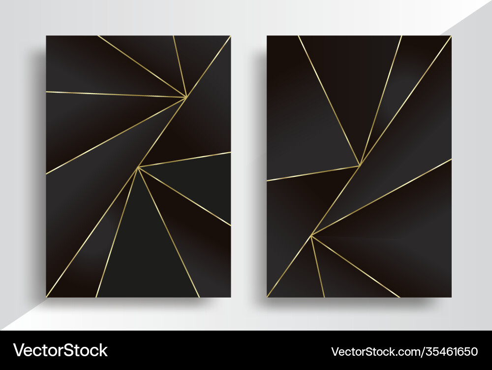 Geometric luxury pattern with gold lines Vector Image