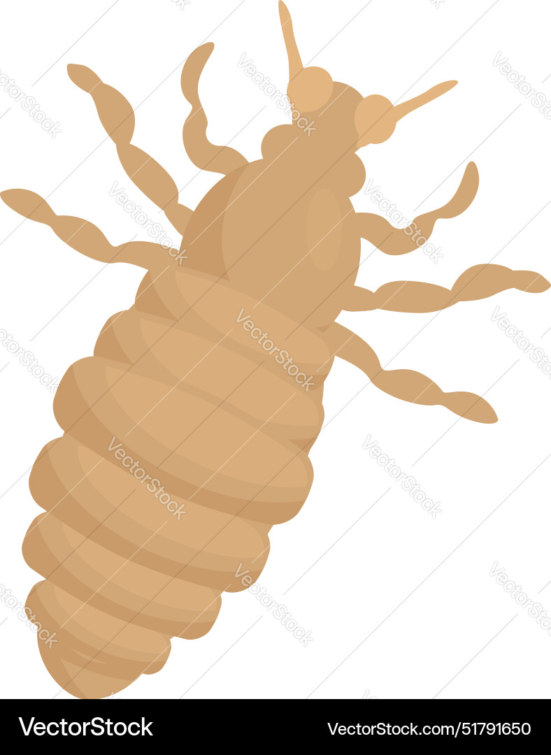 Louse insect spreading disease through touching Vector Image