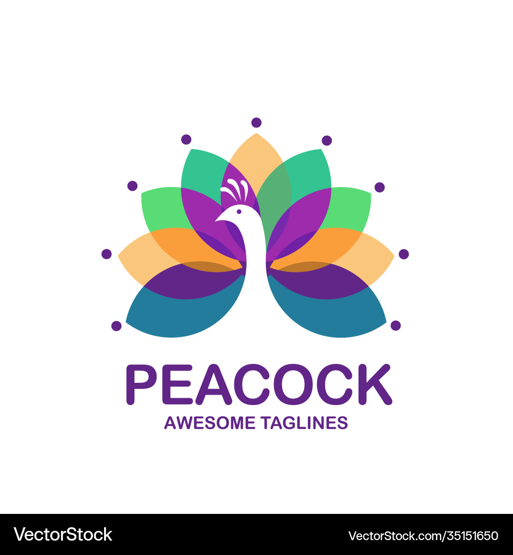 Peacock logo Royalty Free Vector Image - VectorStock