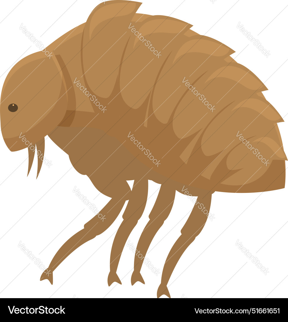 Brown flea insect walking side view Royalty Free Vector