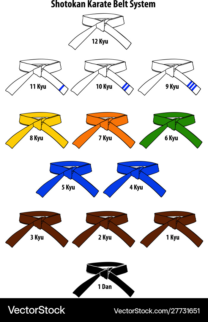 Karate Belt Color System Royalty Free Vector Image