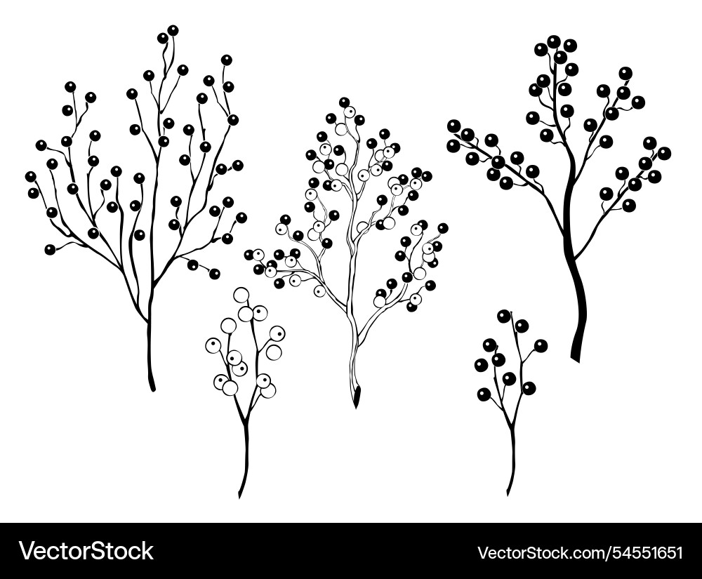Set silhouette winterberry holly Royalty Free Vector Image