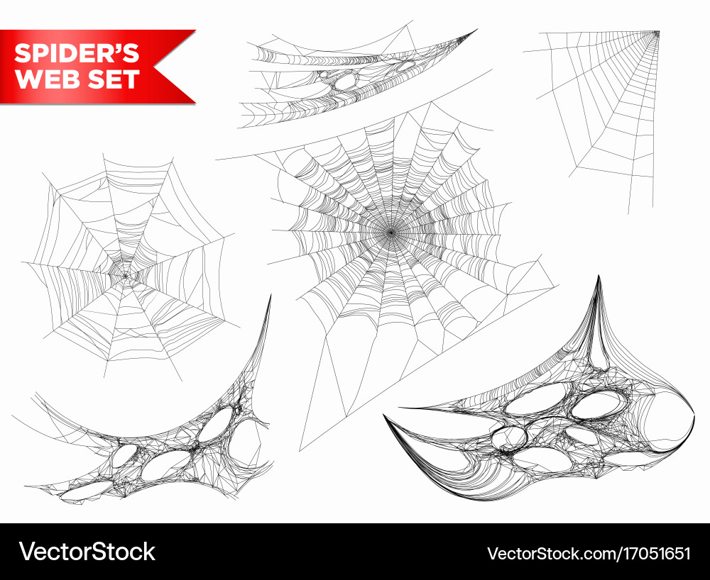 Spiderweb or spider web cobweb 3d shapes Vector Image