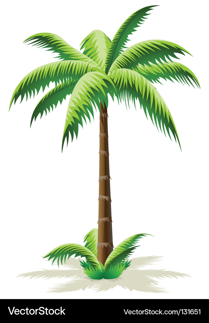 Tropical Palm Tree Icon Royalty Free Vector Image