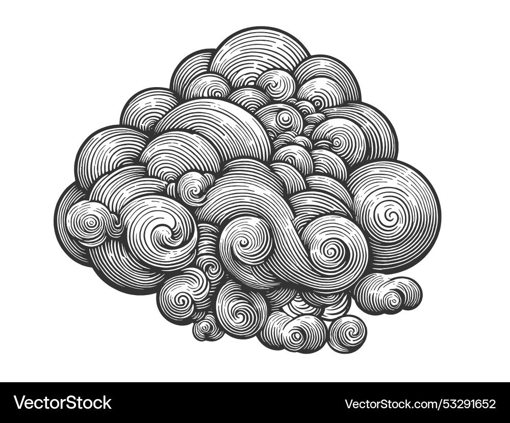 Swirling cloud engraving Royalty Free Vector Image
