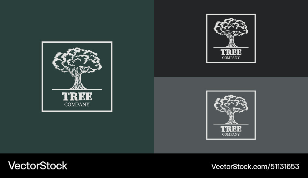 Abstract square tree logo in white silver color Vector Image