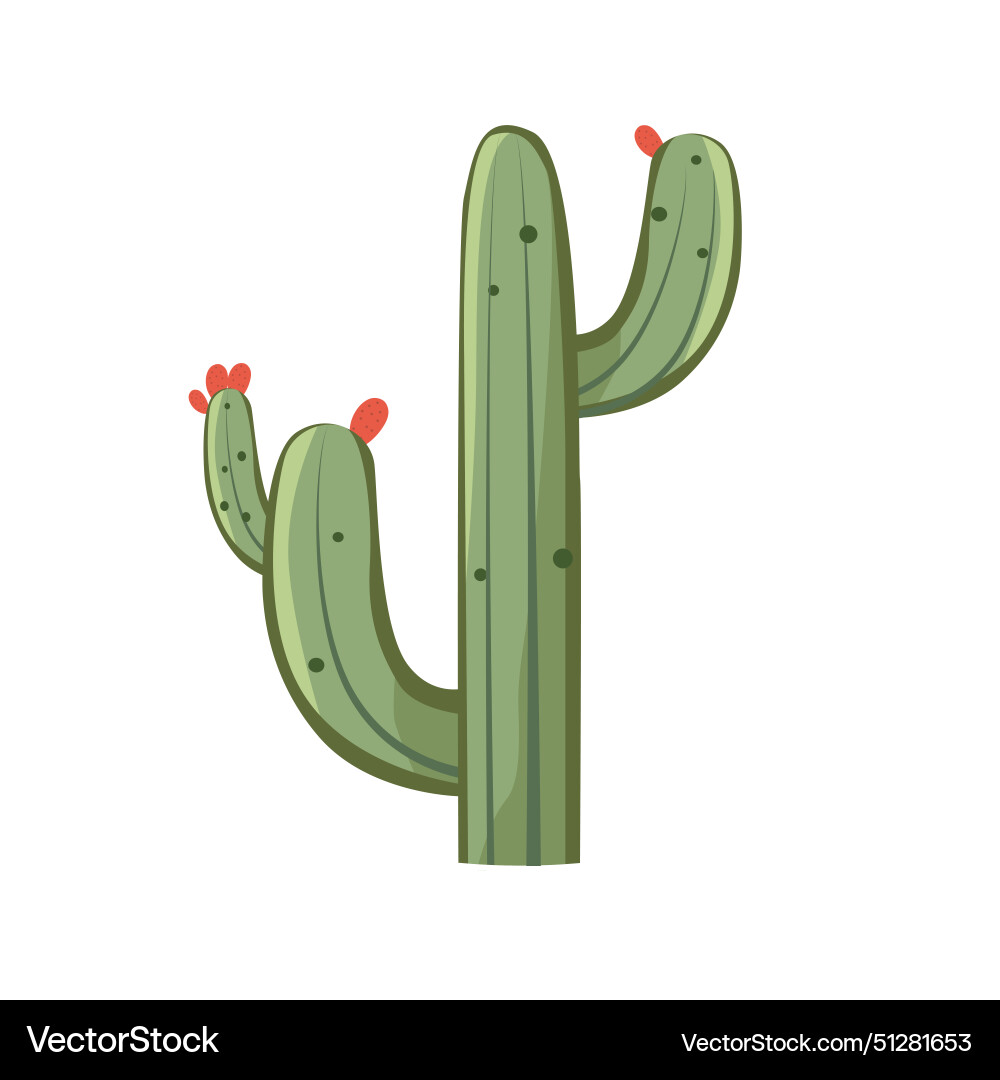 Cactus tree cartooncactus cartoon Royalty Free Vector Image