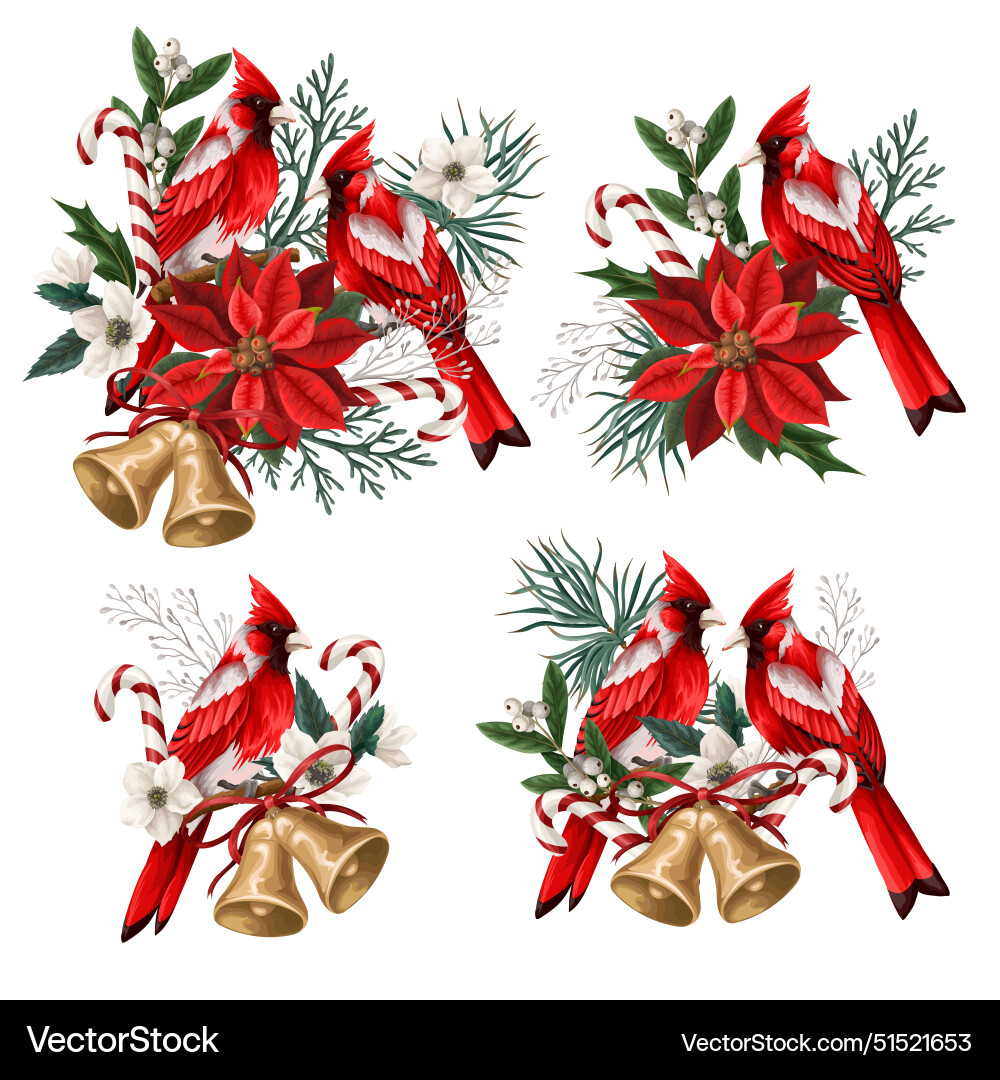 Christmas elements such as fir red birds Vector Image
