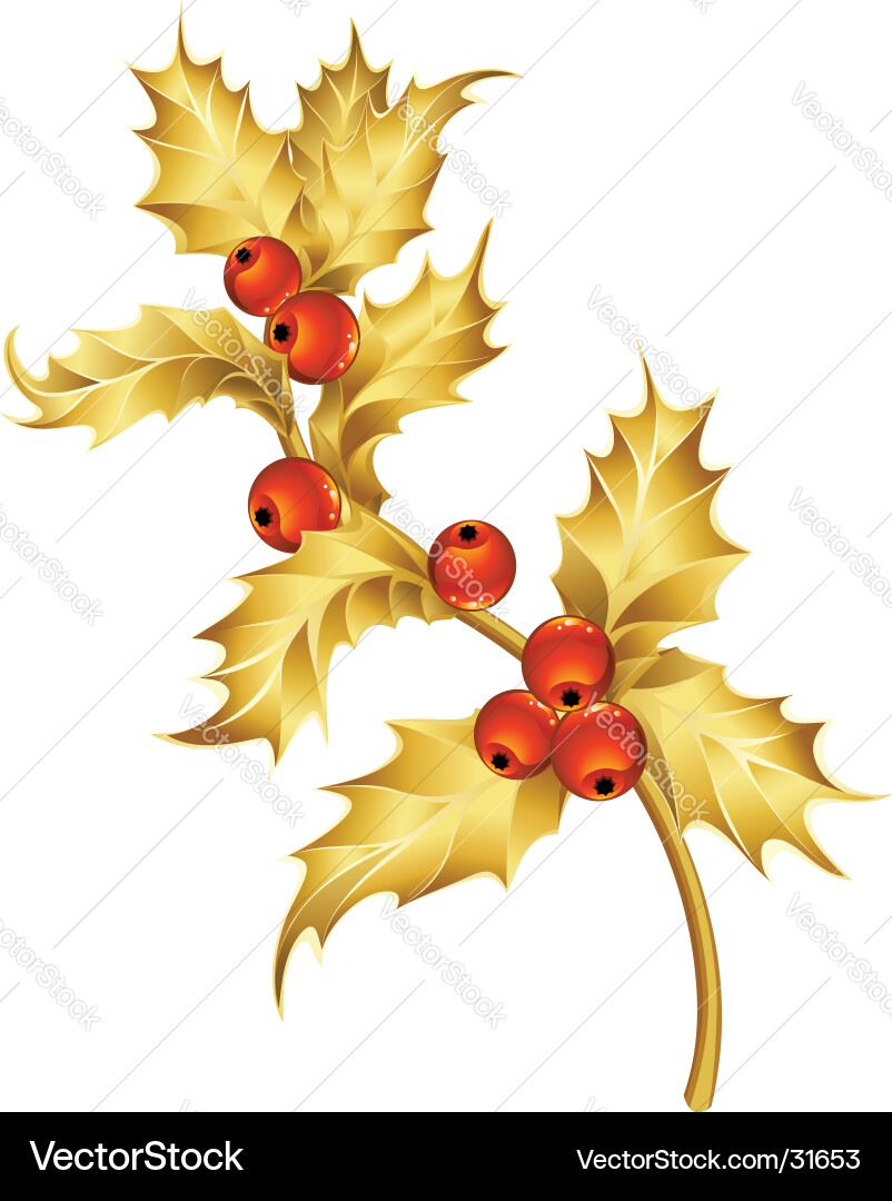 Gold holly Royalty Free Vector Image - VectorStock