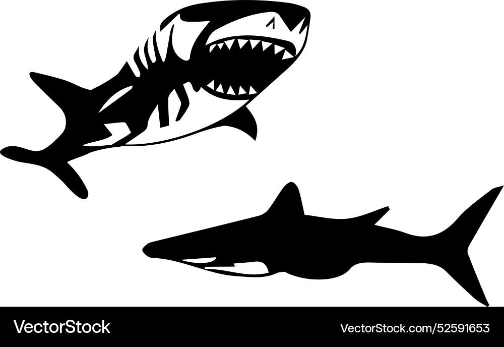Shark silhouette fierce ocean predator art Vector Image