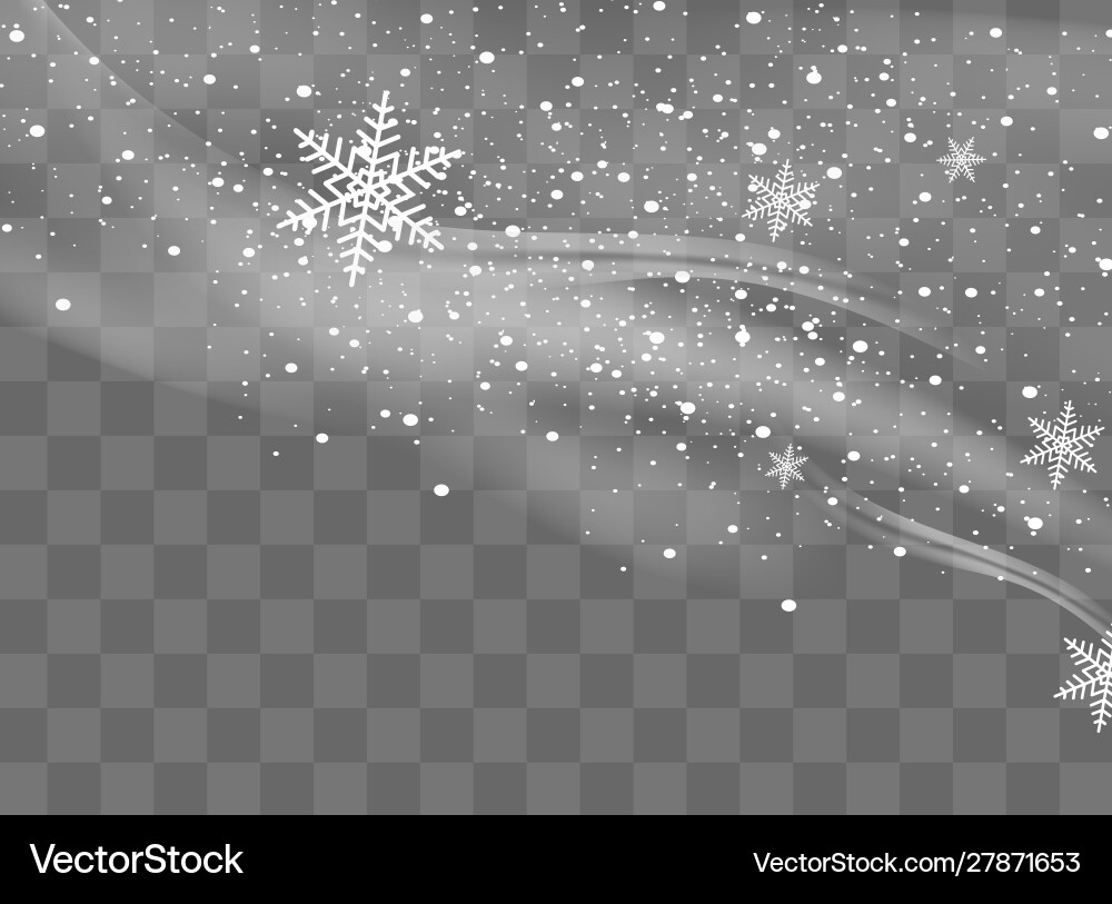 Snow and wind on a transparent background white Vector Image