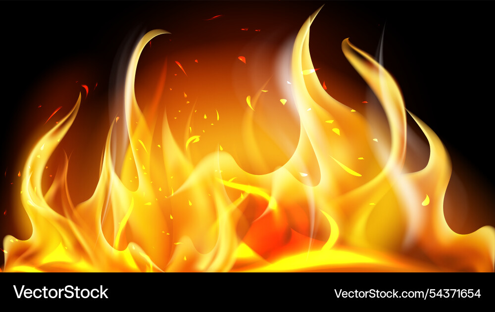 Dynamic Flames on Black Royalty Free Vector Image
