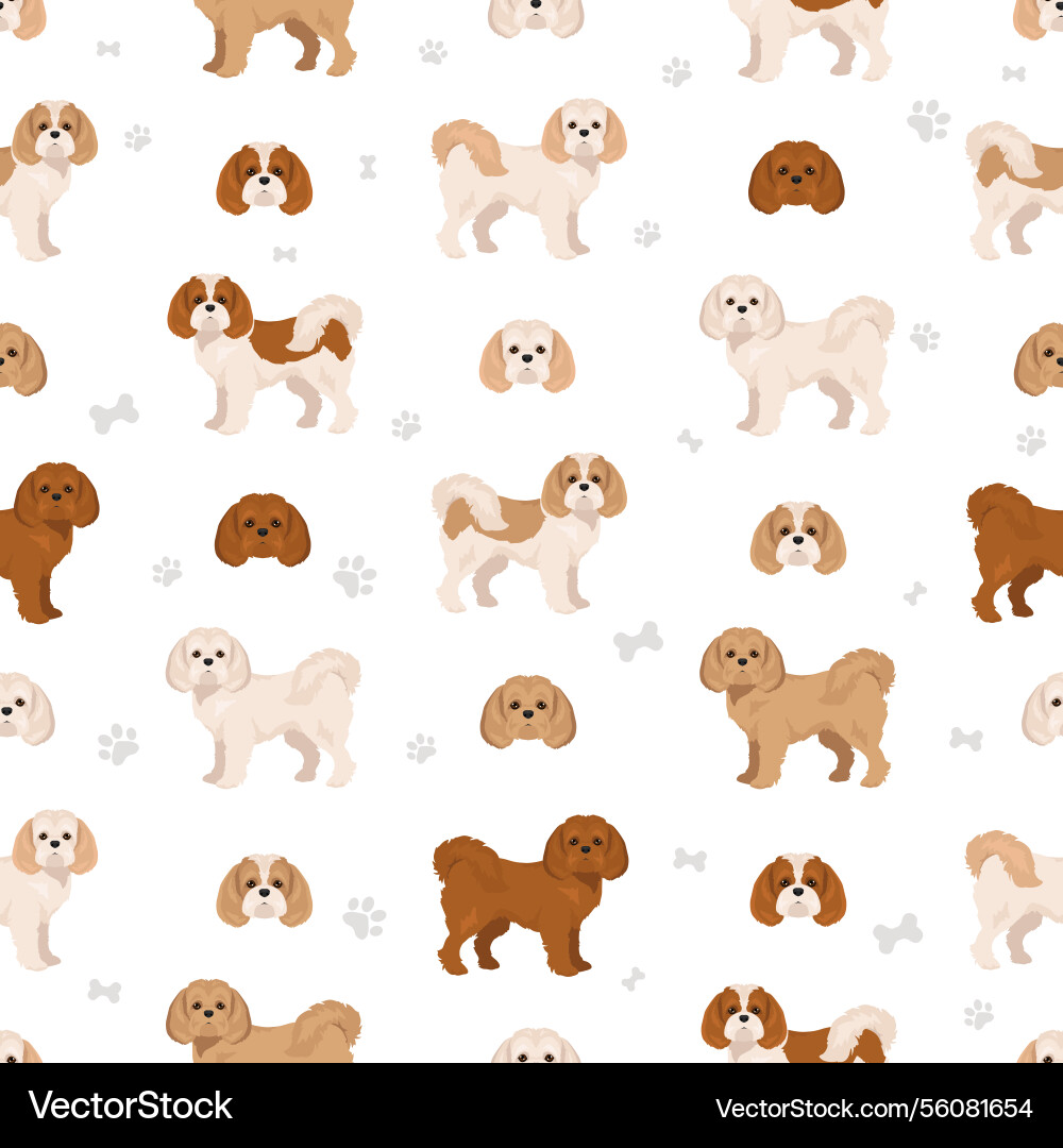 Maltalier cavamalt seamless pattern maltese Vector Image