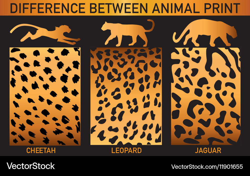 Animal print Royalty Free Vector Image - VectorStock