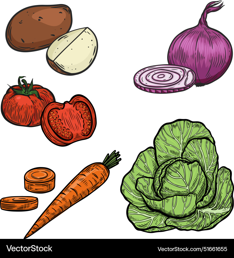 Engraved vegetable set Royalty Free Vector Image
