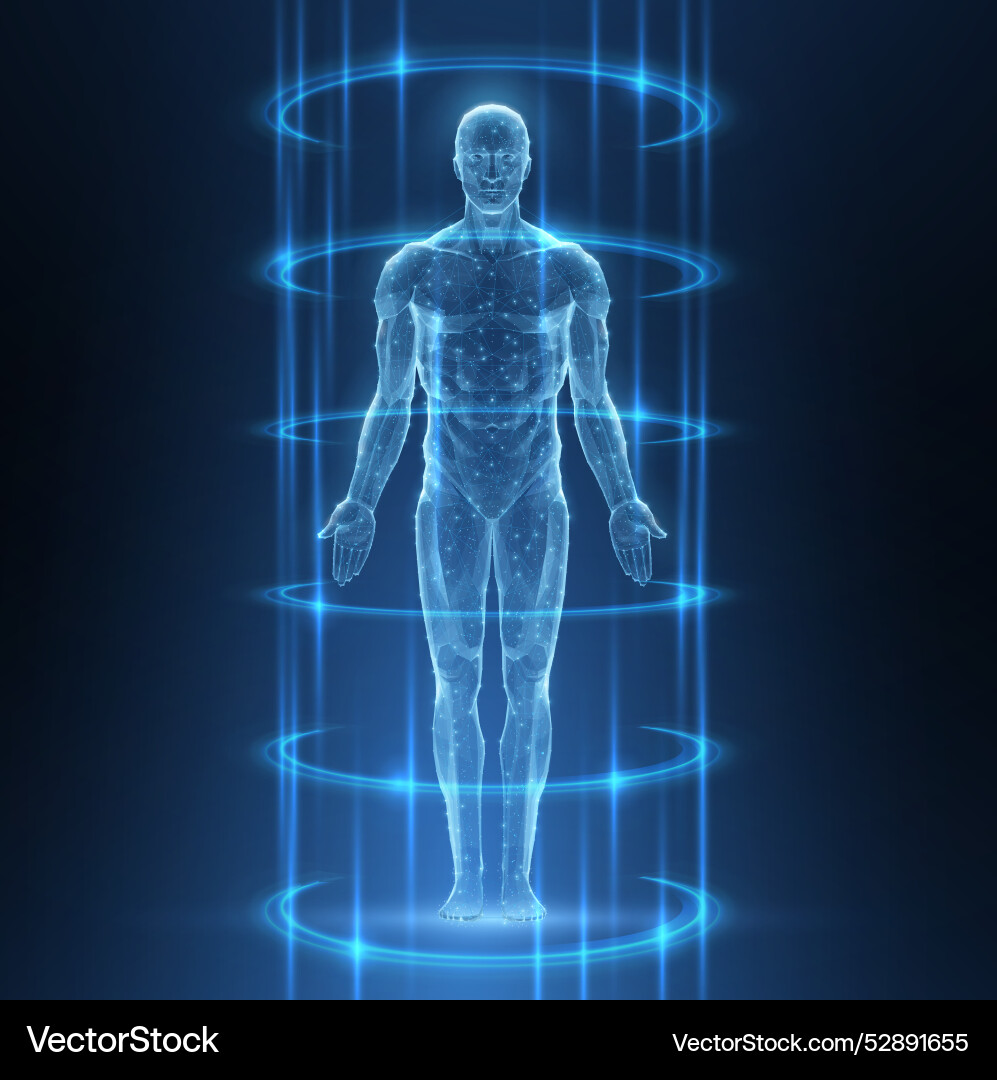 Human body abstract digital anatomy Royalty Free Vector