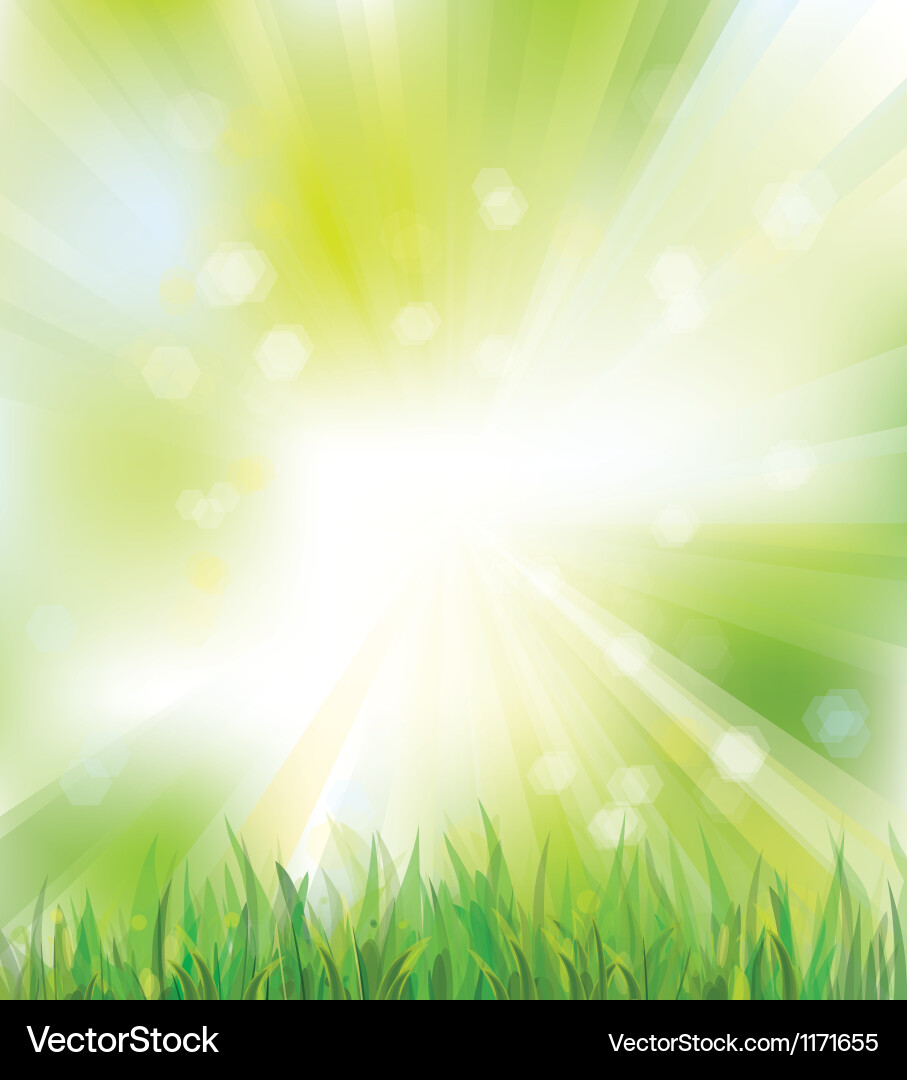 Spring meadow Royalty Free Vector Image - VectorStock