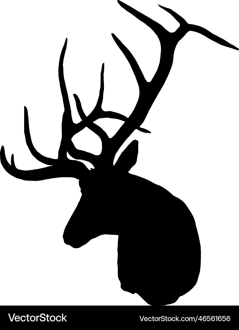 Buck deer with large antlers Royalty Free Vector Image