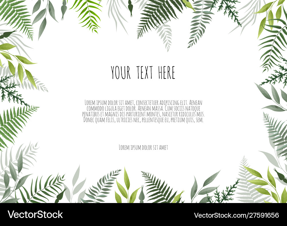 Green leaves border isolated on white background Vector Image