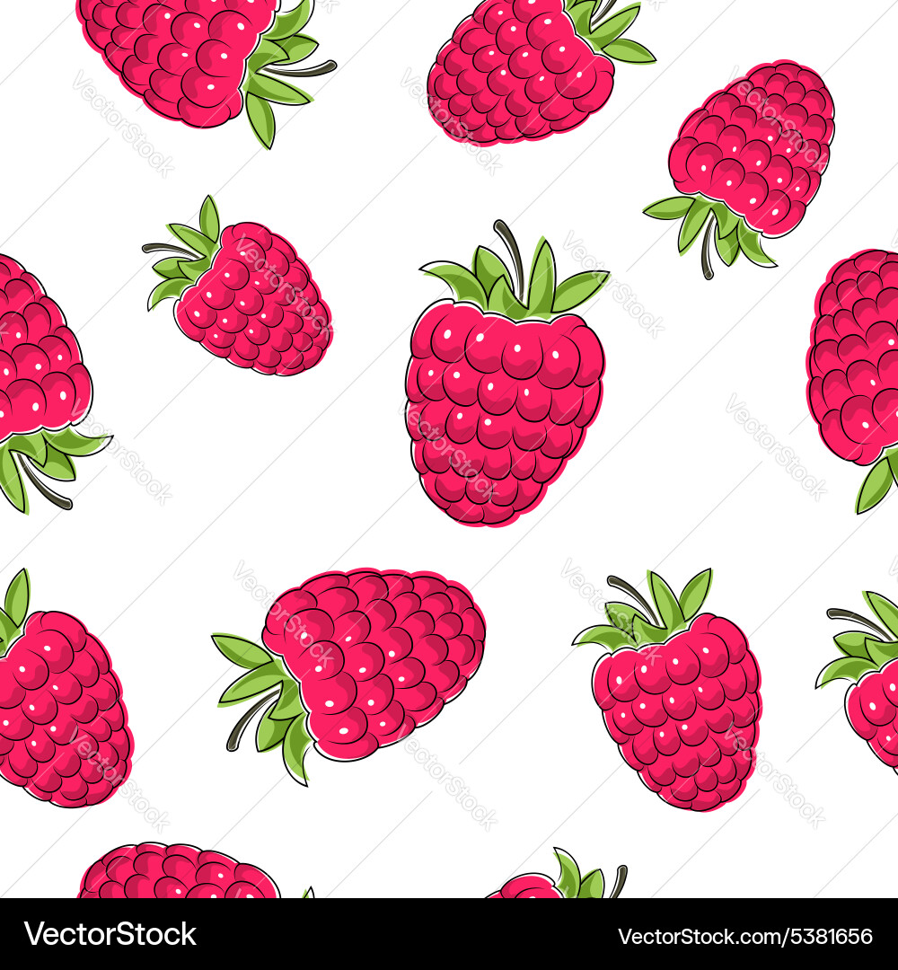 Seamless pattern of raspberries Royalty Free Vector Image