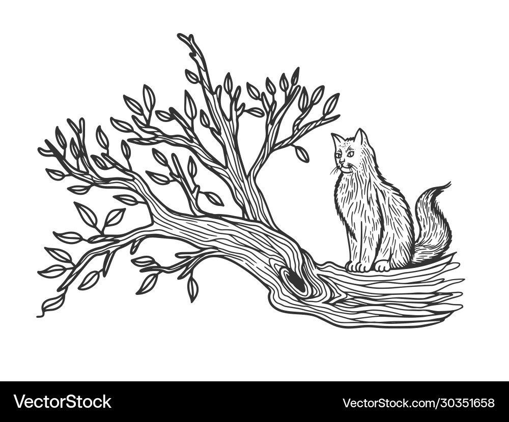 Cat sits on a tree sketch Royalty Free Vector Image