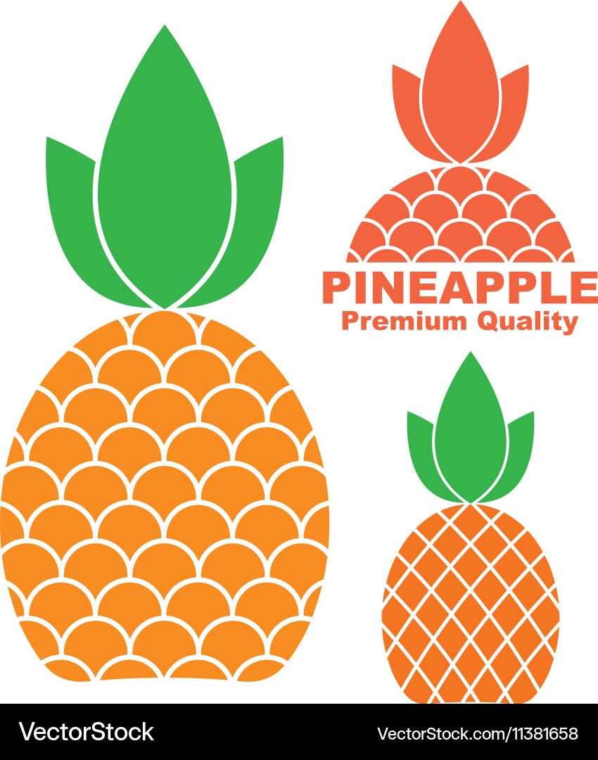 Pineapple icon Royalty Free Vector Image - VectorStock
