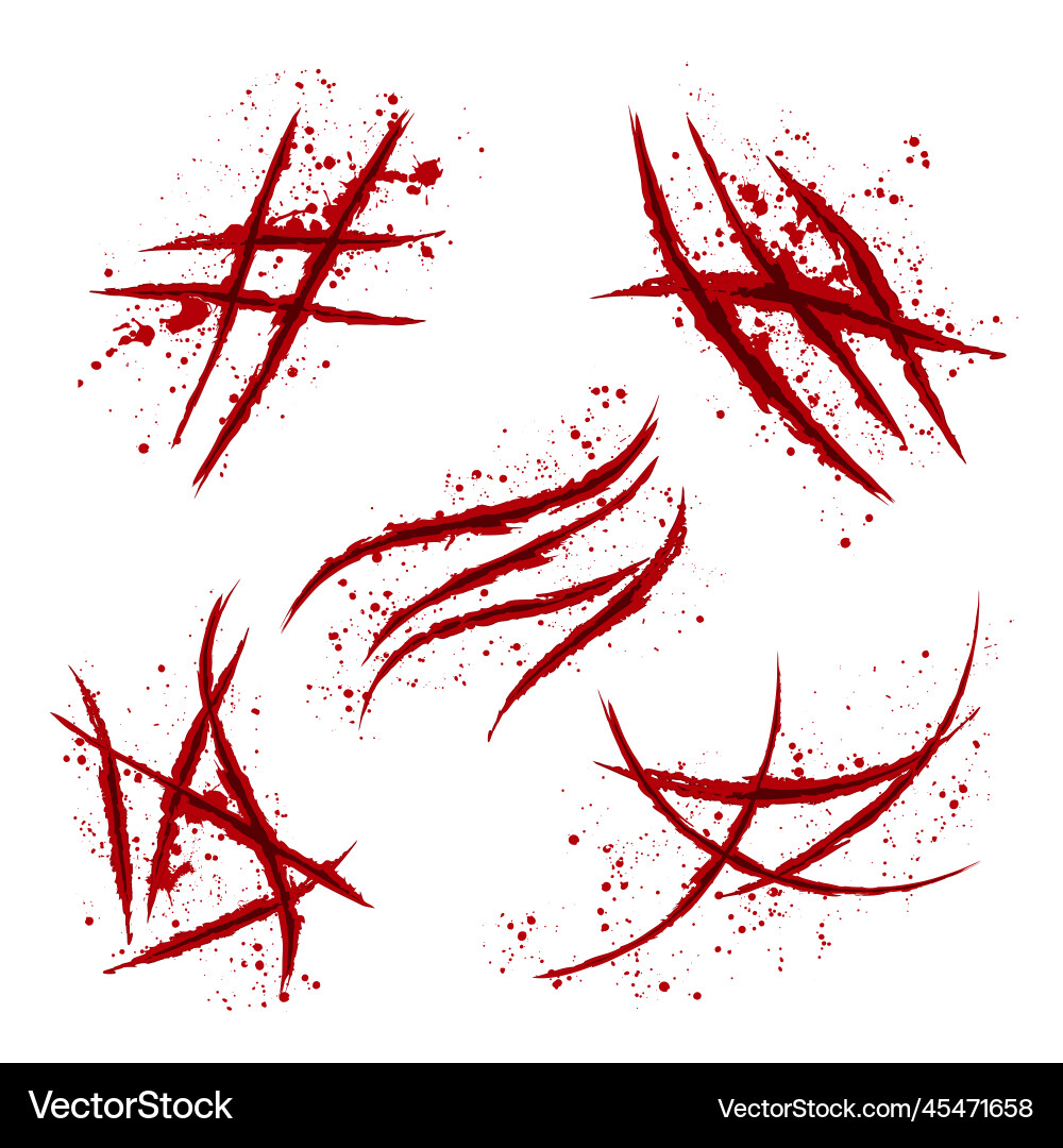 Red claw blood wounds white Royalty Free Vector Image