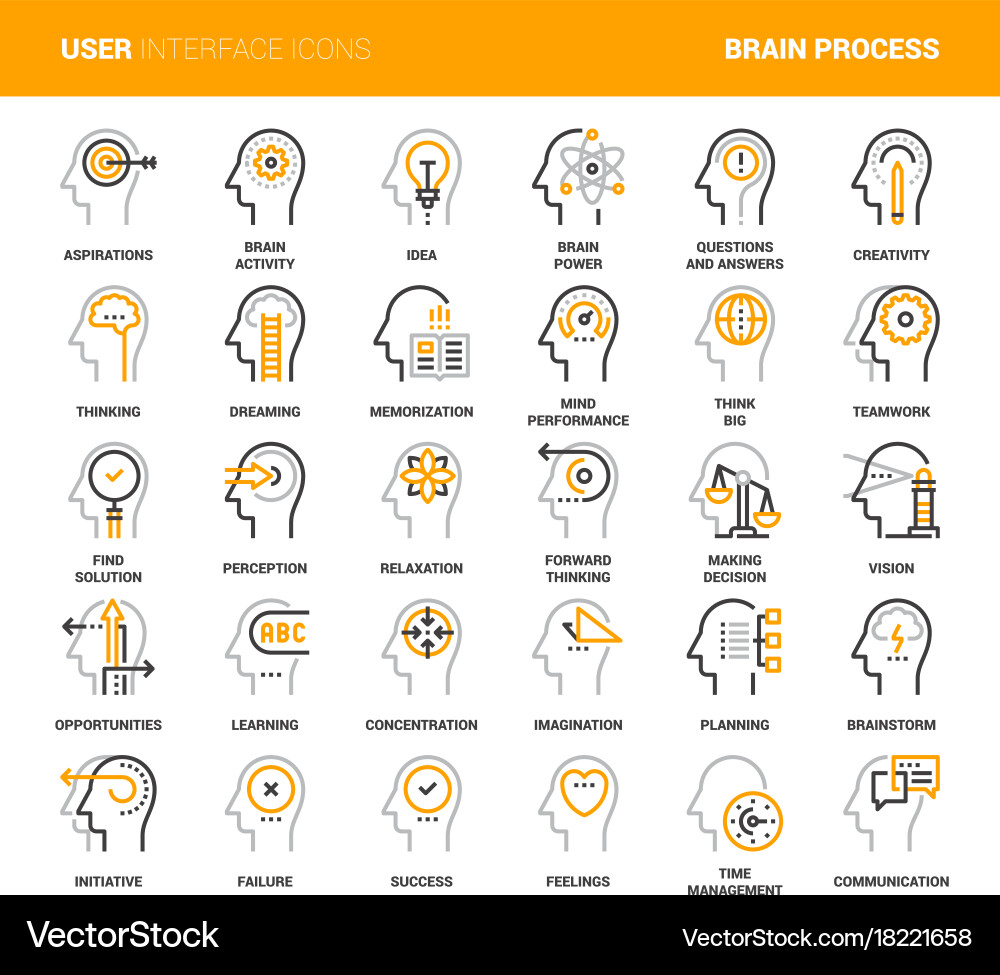 Thinking and brain process Royalty Free Vector Image