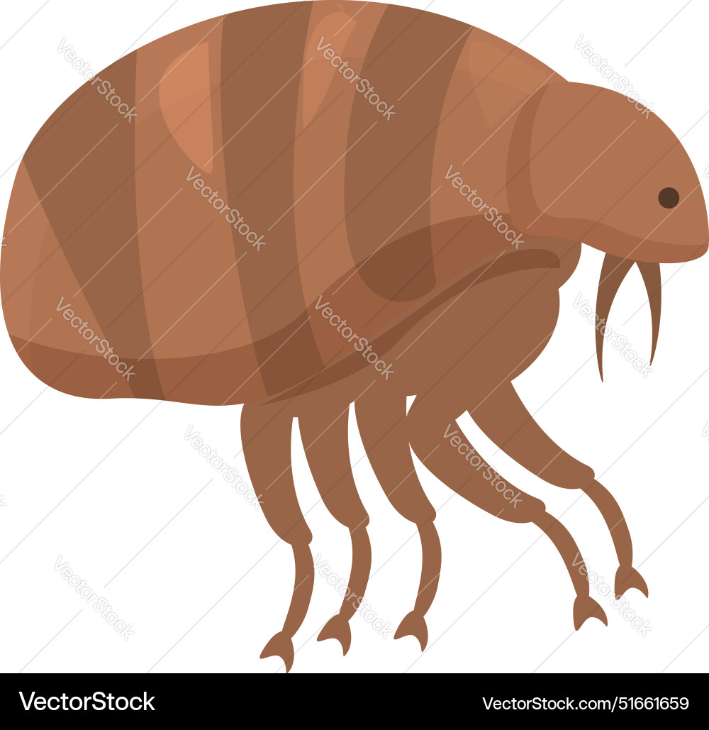 Flea insect walking spreading disease through bite