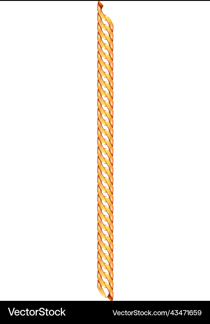 Golden chain piece composition Royalty Free Vector Image