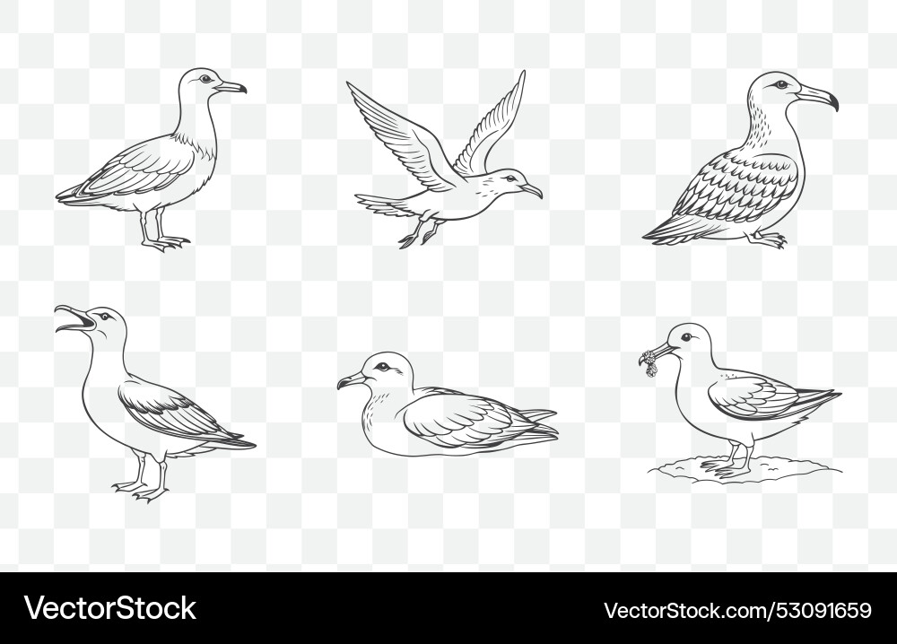 Simple Flying Bird Vector Images (over 30,000)