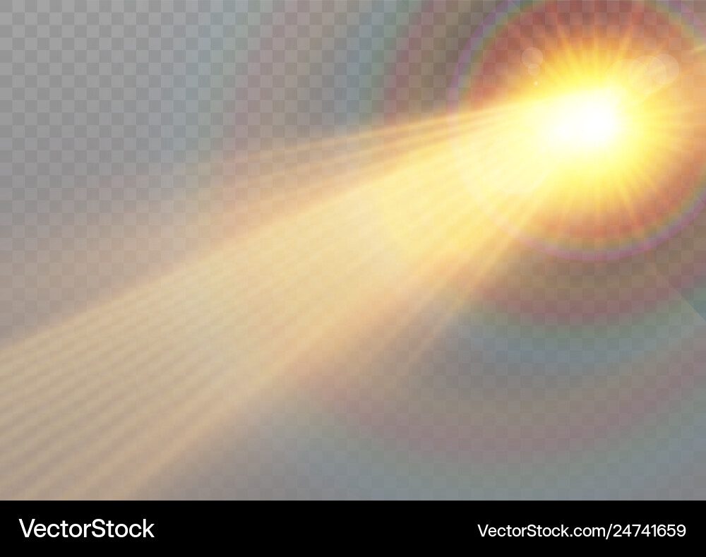 Transparent sunlight Royalty Free Vector Image