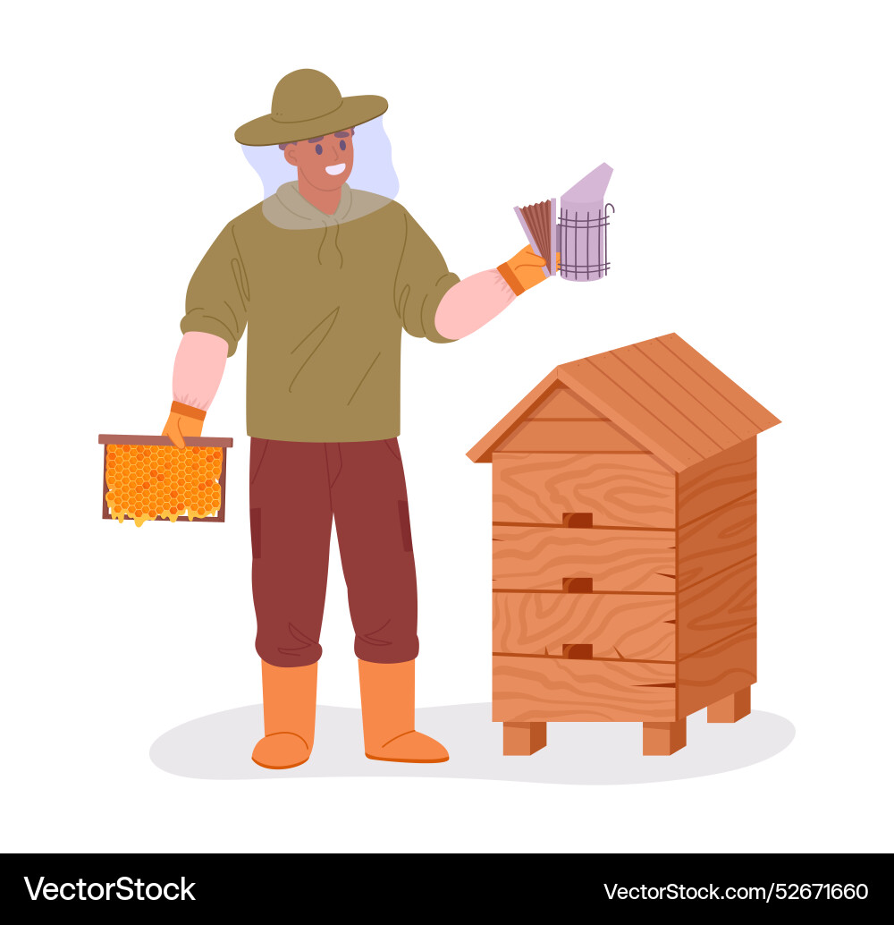 Beekeeper work with honeybee hive apiarist holds Vector Image