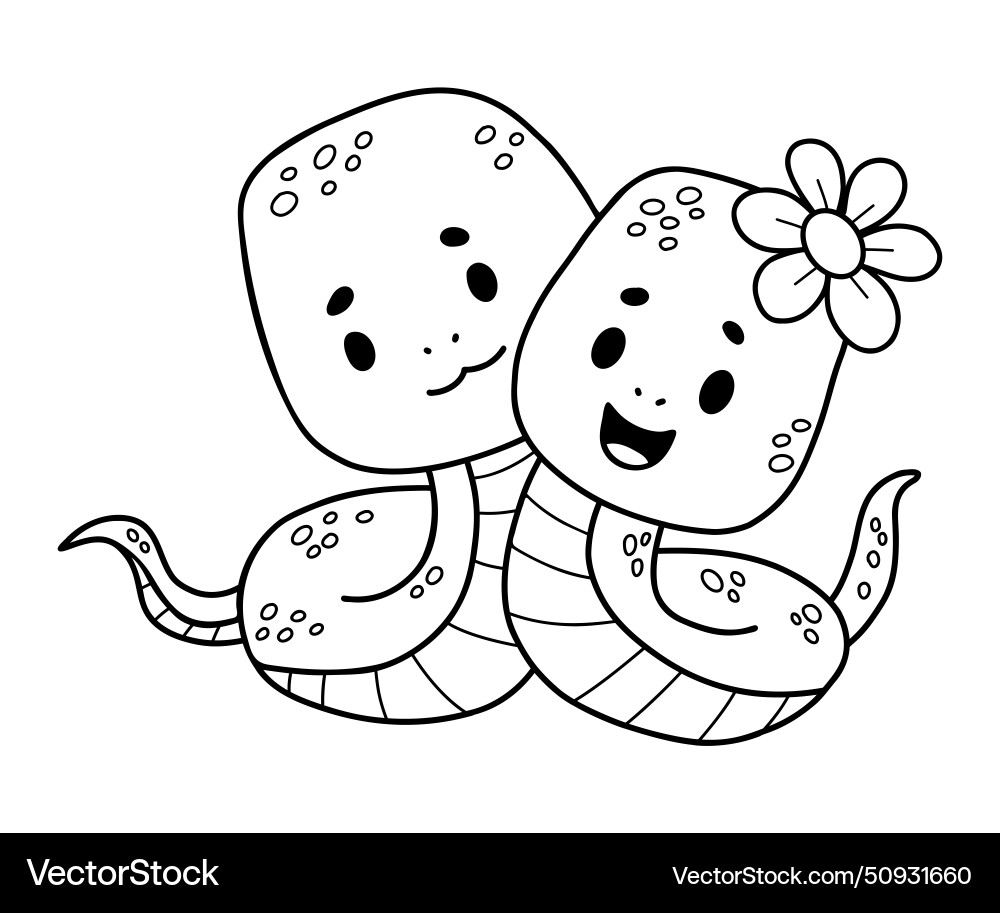 Couple cute snake in love romantic reptile girl Vector Image