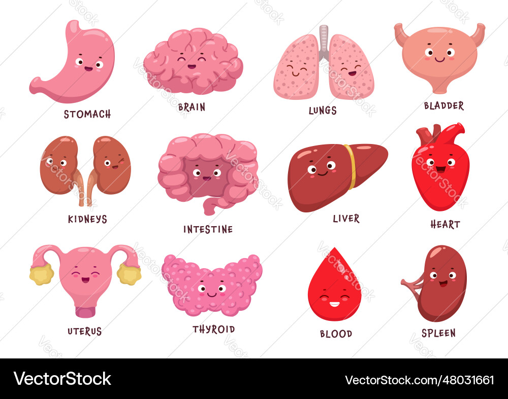 Funny Human Organ Characters Royalty Free Vector Image