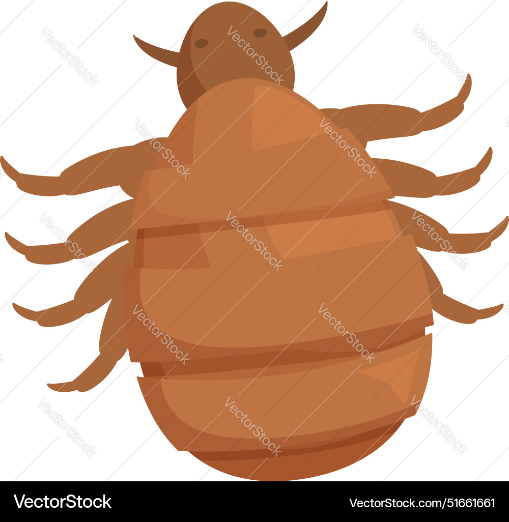 Louse insect spreading disease through bite with Vector Image