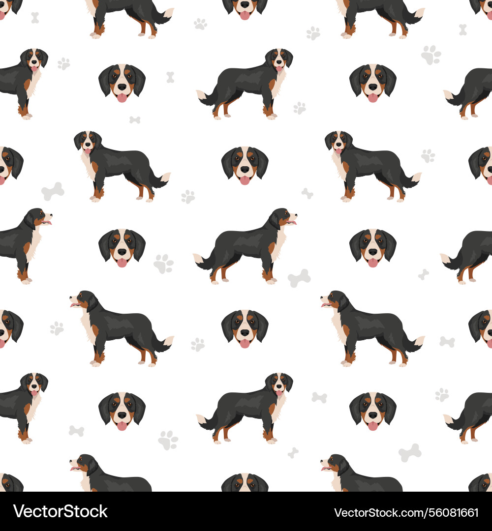 Mini bernese clipart mountain dog Royalty Free Vector Image