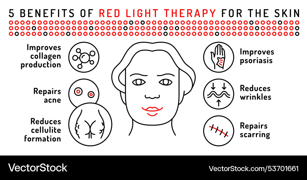 Red light therapy infographic photobiomodulation Vector Image
