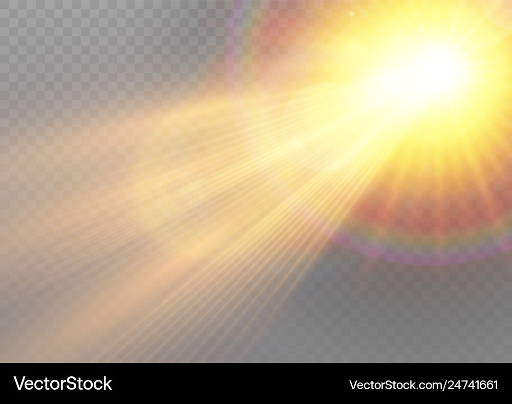 Transparent sunlight Royalty Free Vector Image