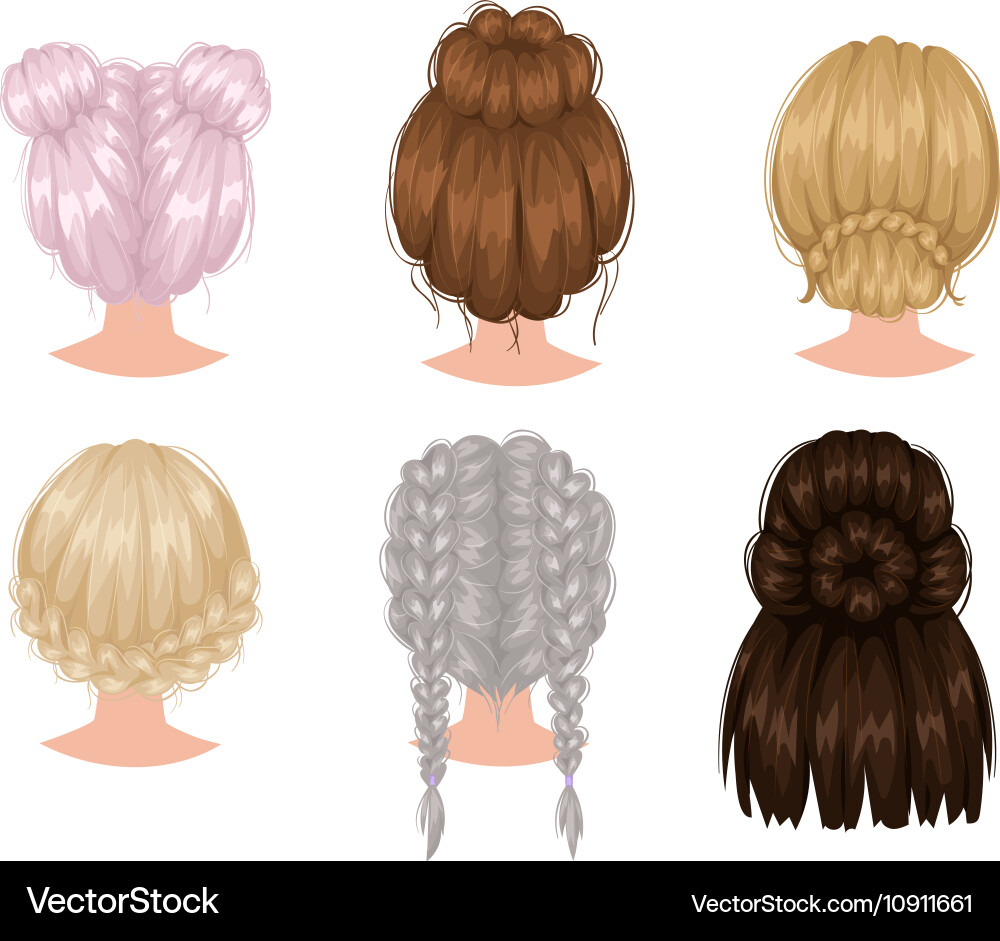Woman hairstyle back view Royalty Free Vector Image