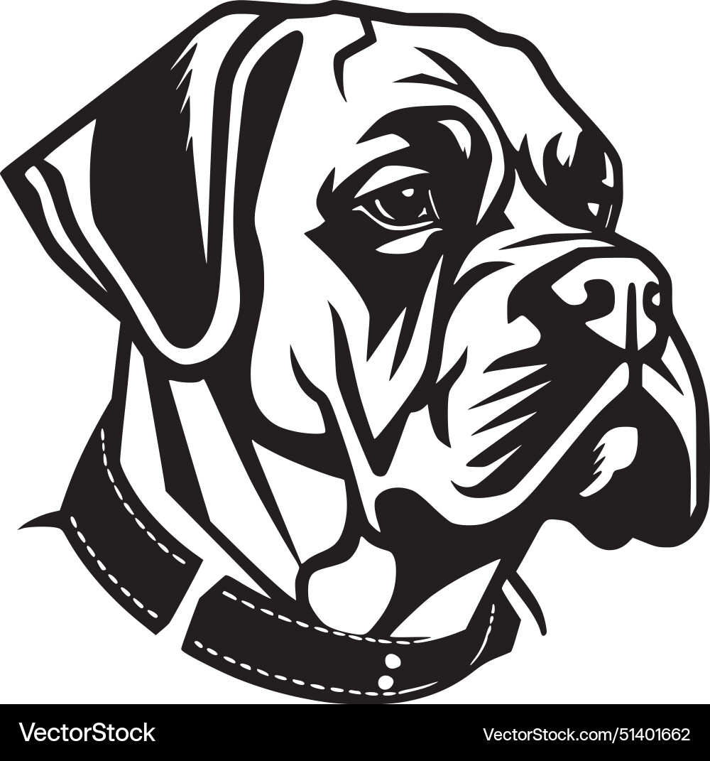 Boxer - black and white Royalty Free Vector Image