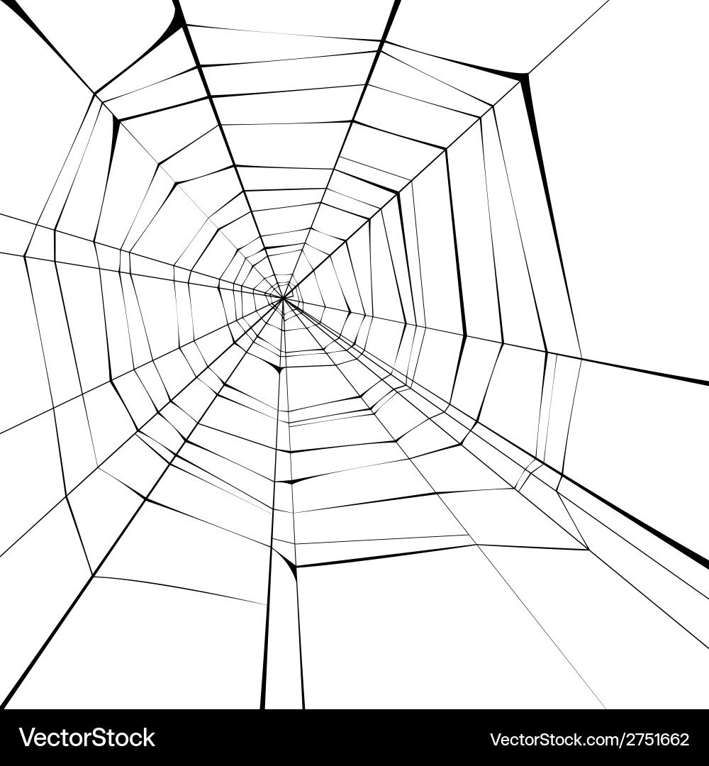 Spider web Royalty Free Vector Image - VectorStock