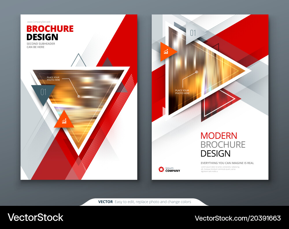 Brochure template layout design corporate Vector Image
