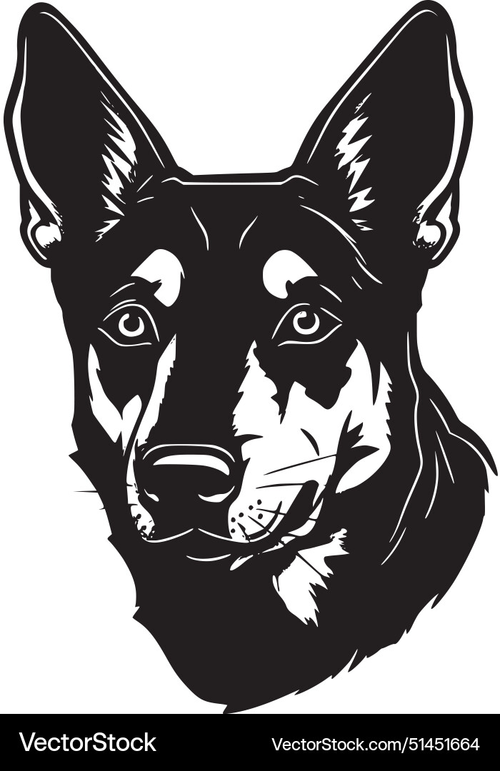 Australian kelpie - high quality logo - ideal for Vector Image