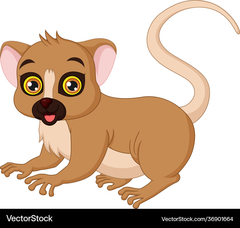 Lemur Animal Animation