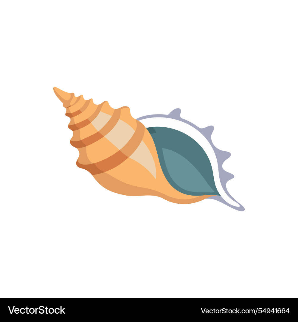 Conch shell clipart isolated flat on white Vector Image