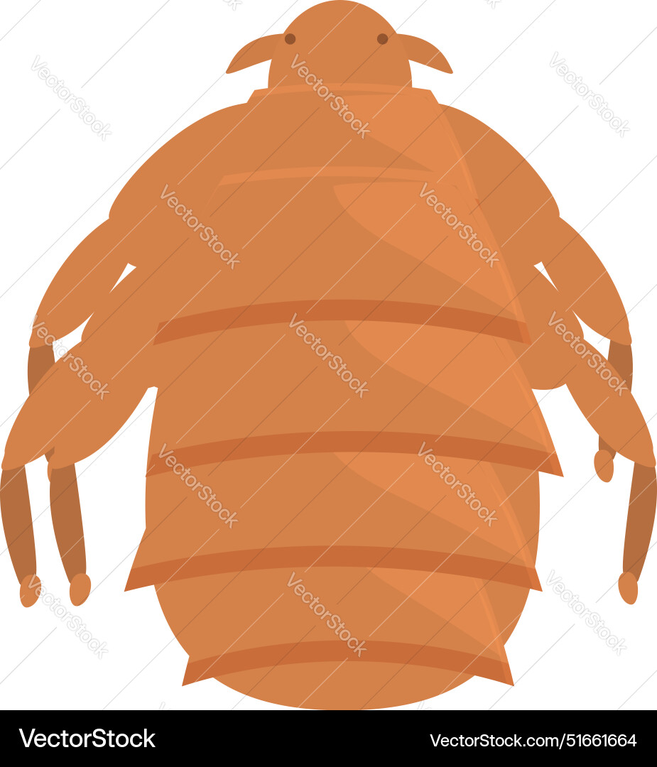 Louse insect spreading infection through bite on Vector Image